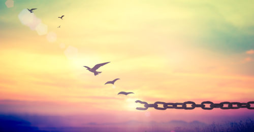 Surrender to Win: The #1 Paradox of Addiction Recovery - Seeking Integrity