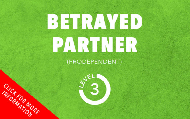 Online Workgroups - Seeking Integrity